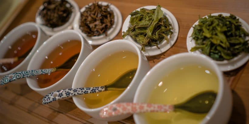 Introductory Premium Tea Taster Selection | Tea Tasting Box | Curious Tea