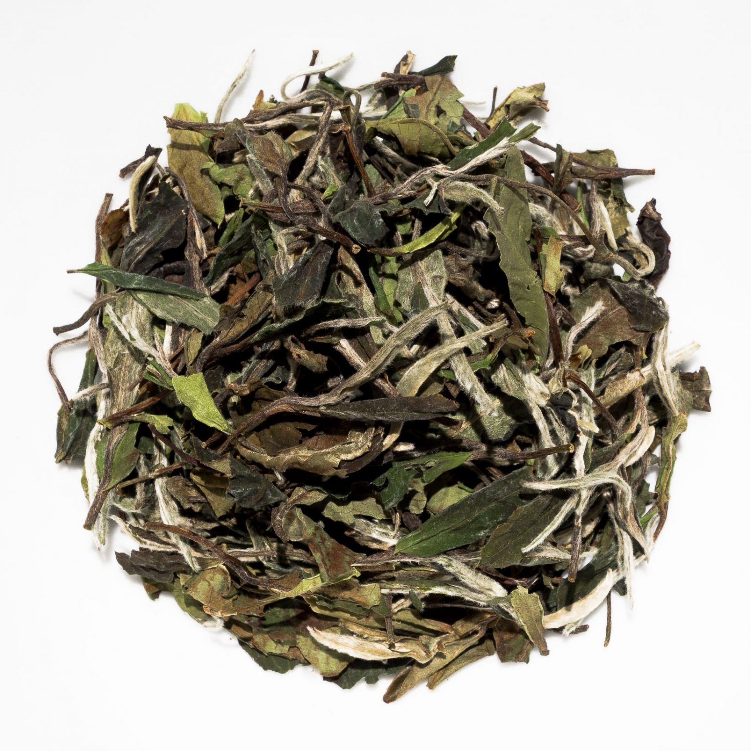 Buy White Tea | Premium Loose Leaf Teas from Curious Tea
