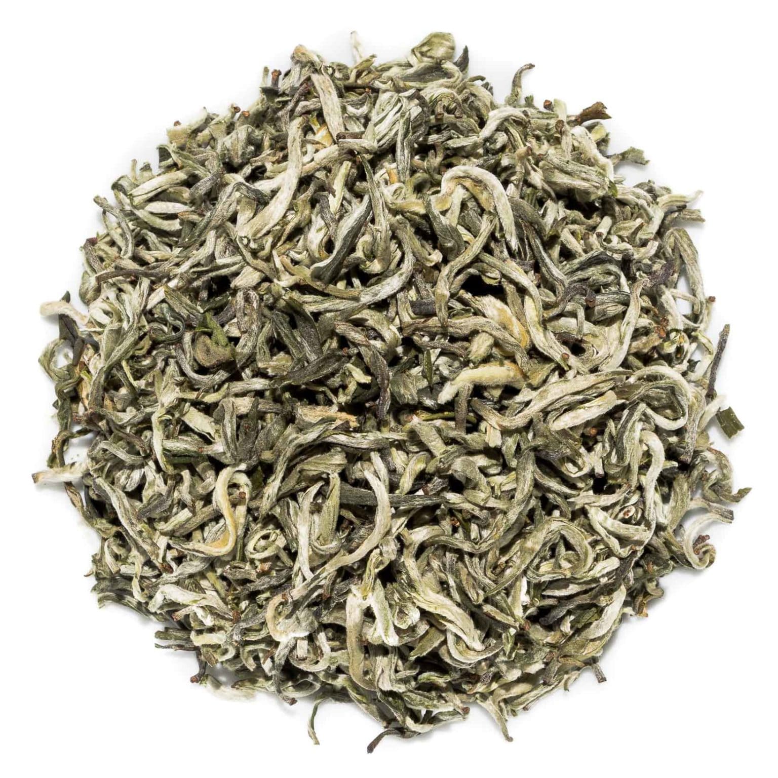 Xue Ya Guangxi Snow Bud | Chinese White Tea | Curious Tea