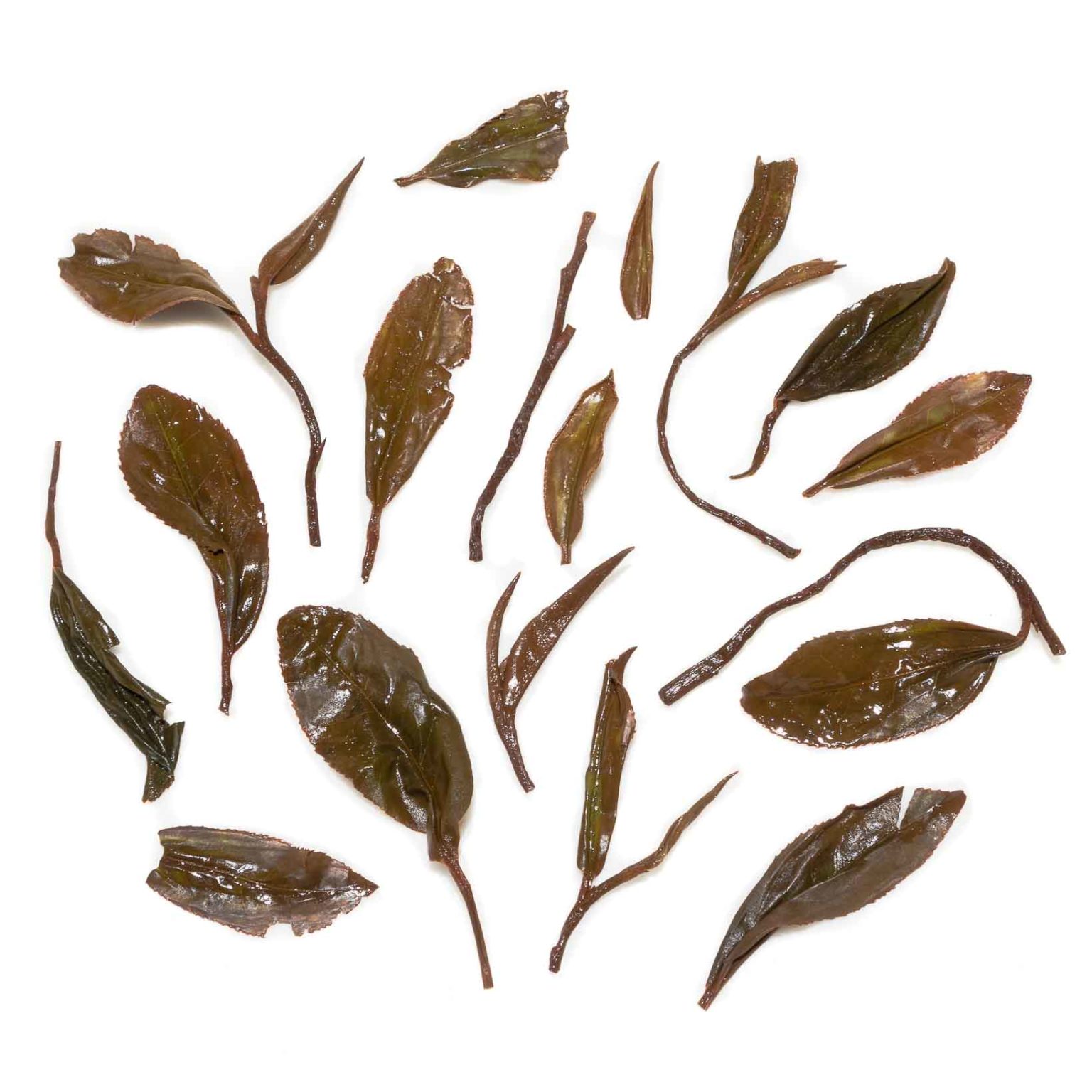 Ming Qian Zheng Shan Xiao Zhong | Chinese Black Tea | Curious Tea